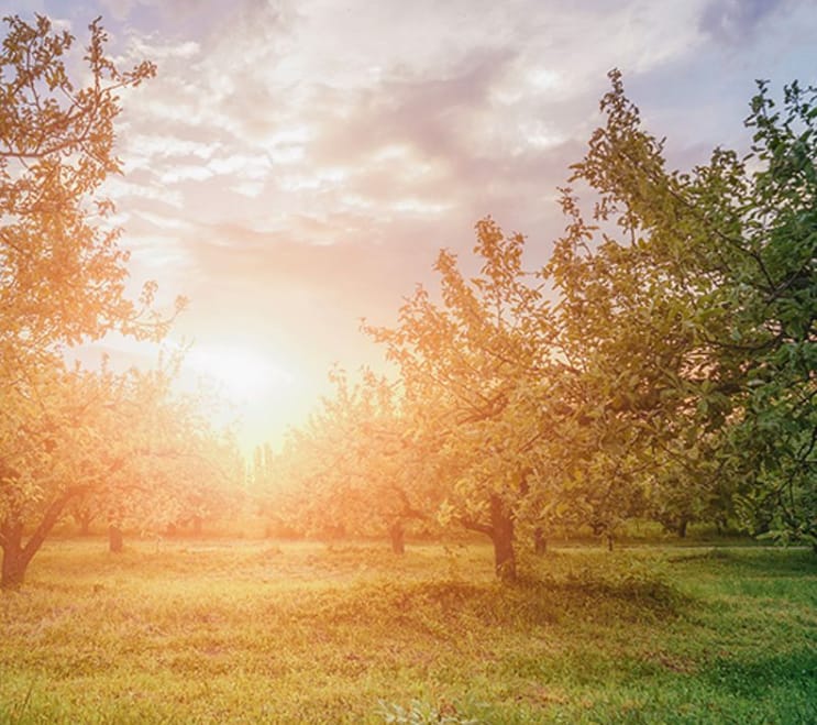 Edwin Neal Medley, 70